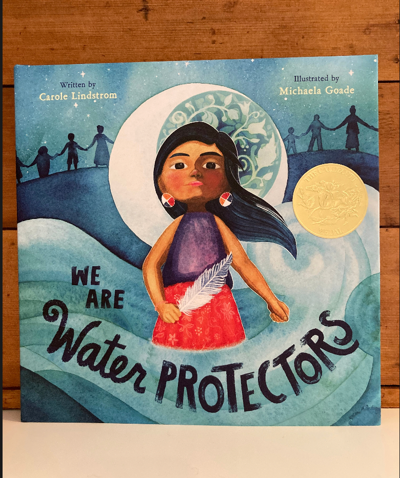 First Nation Books: – Gnomes & Acorns