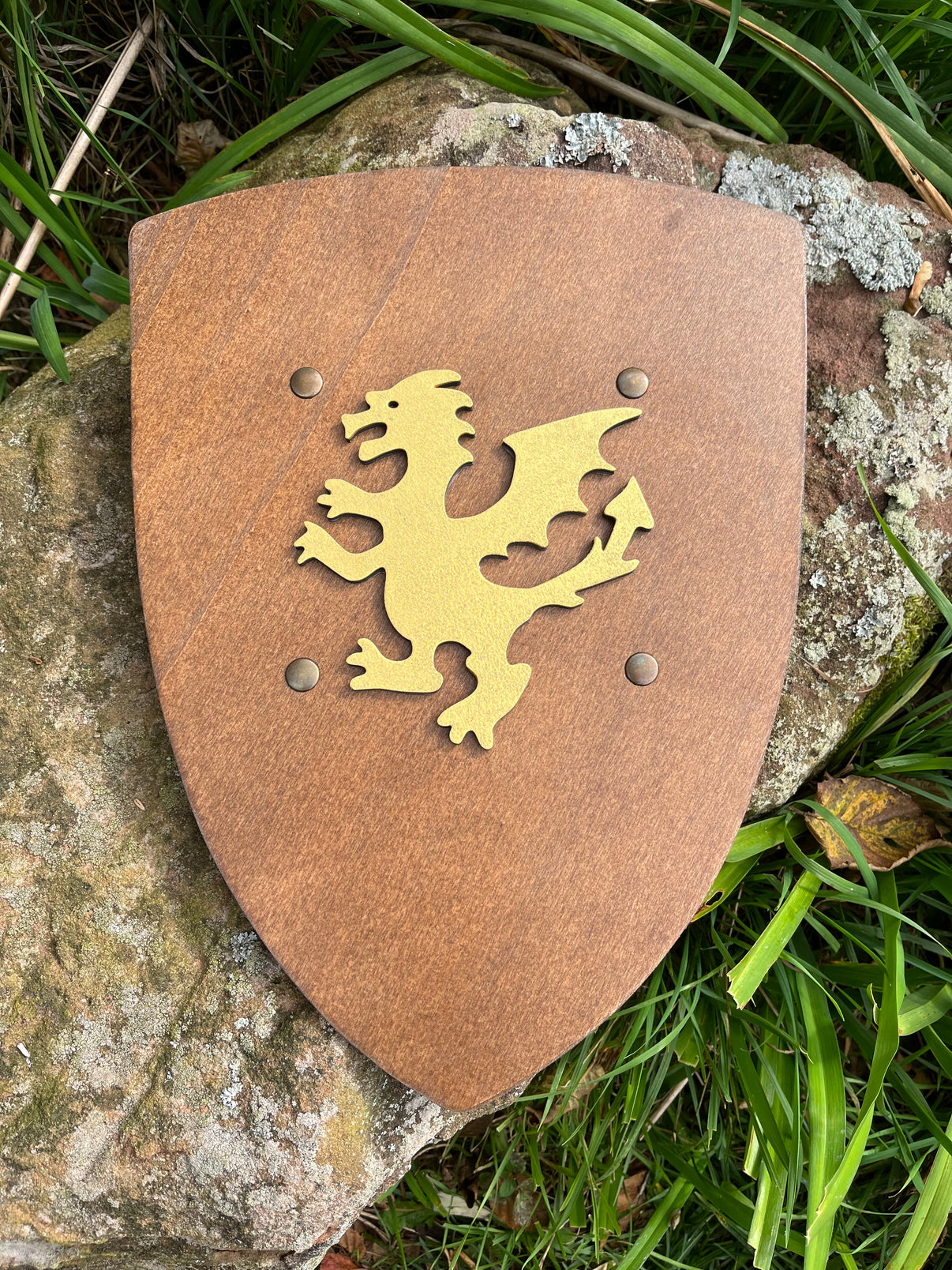Royal Wooden DRAGON SHIELD – Gnomes & Acorns
