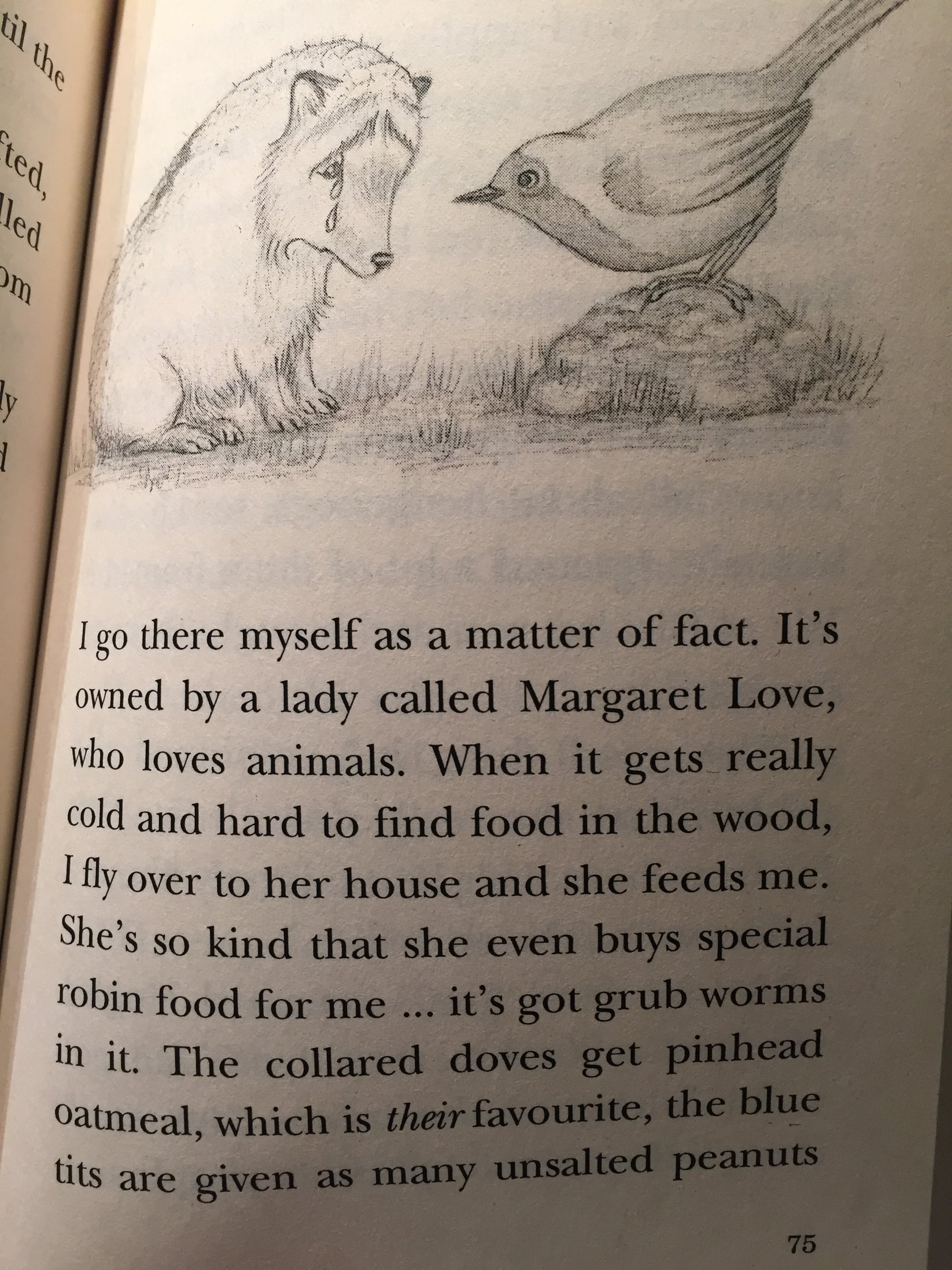 Chapter Book for Young Readers - HOGLET the SPINELESS HEDGEHOG – Gnomes ...