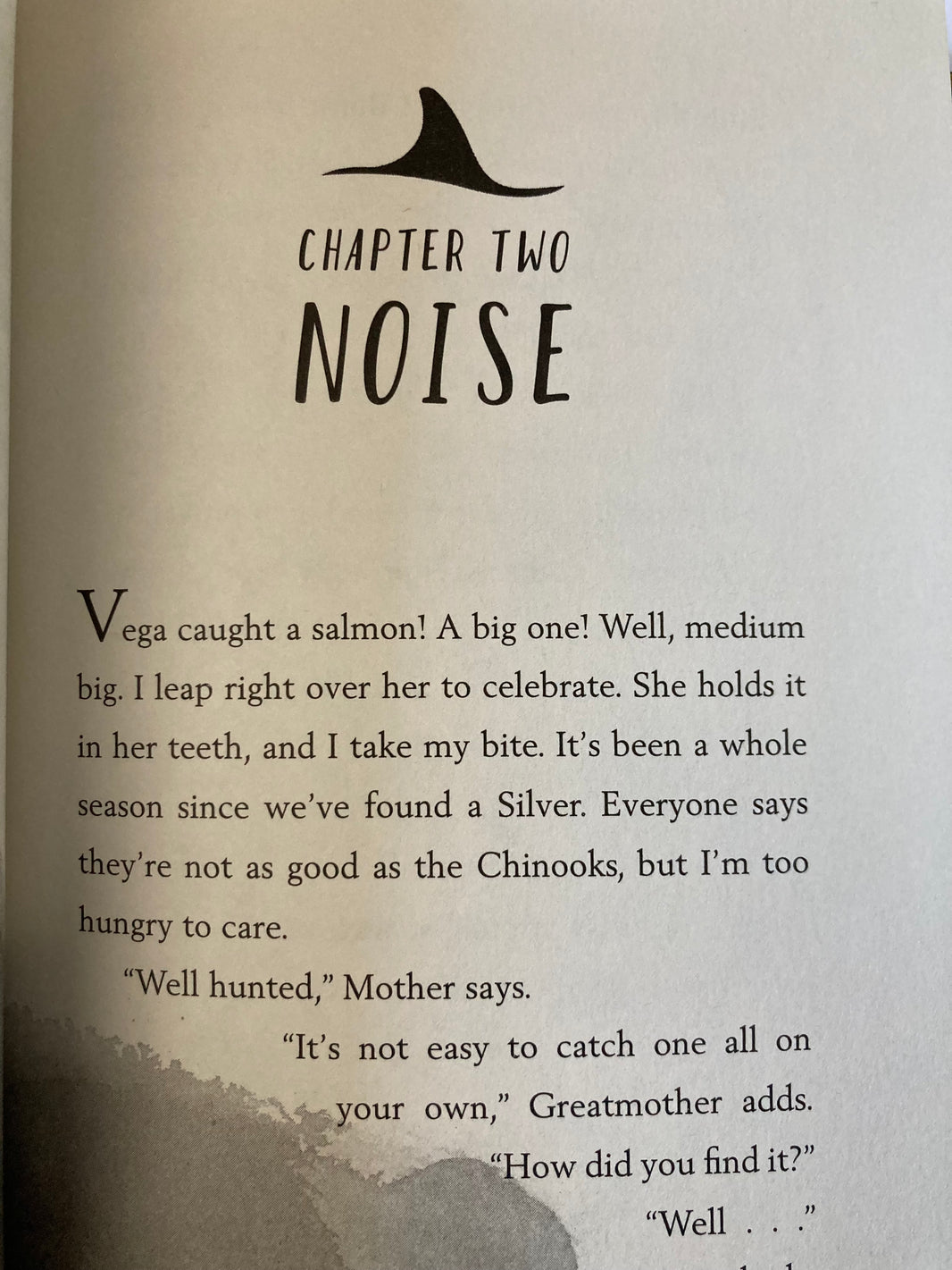 Canada's First Nations, Books, Toys and Indigenous products: – Gnomes ...