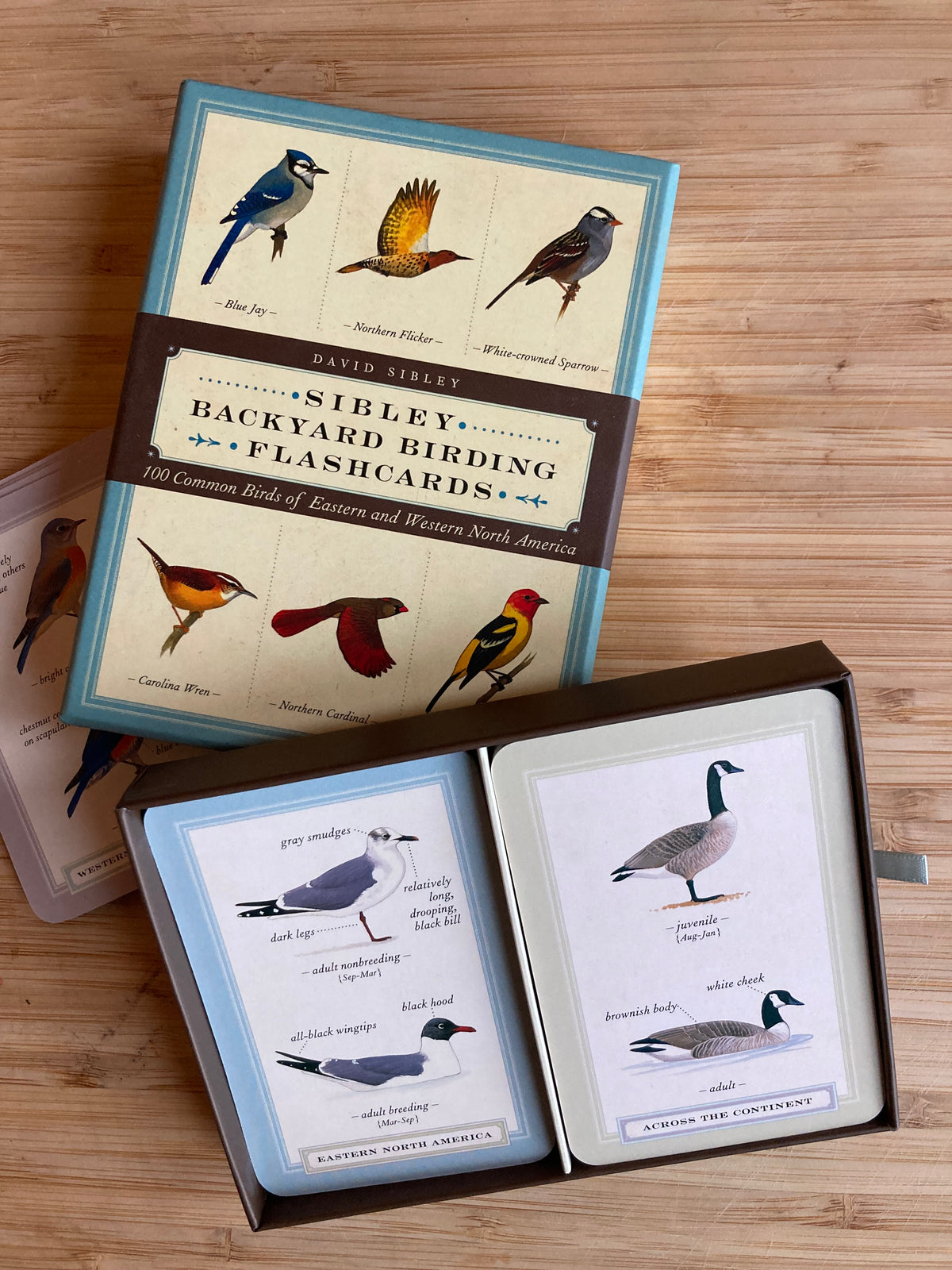 Educational Activity Set - BACKYARD BIRDING FLASHCARDS – Gnomes & Acorns