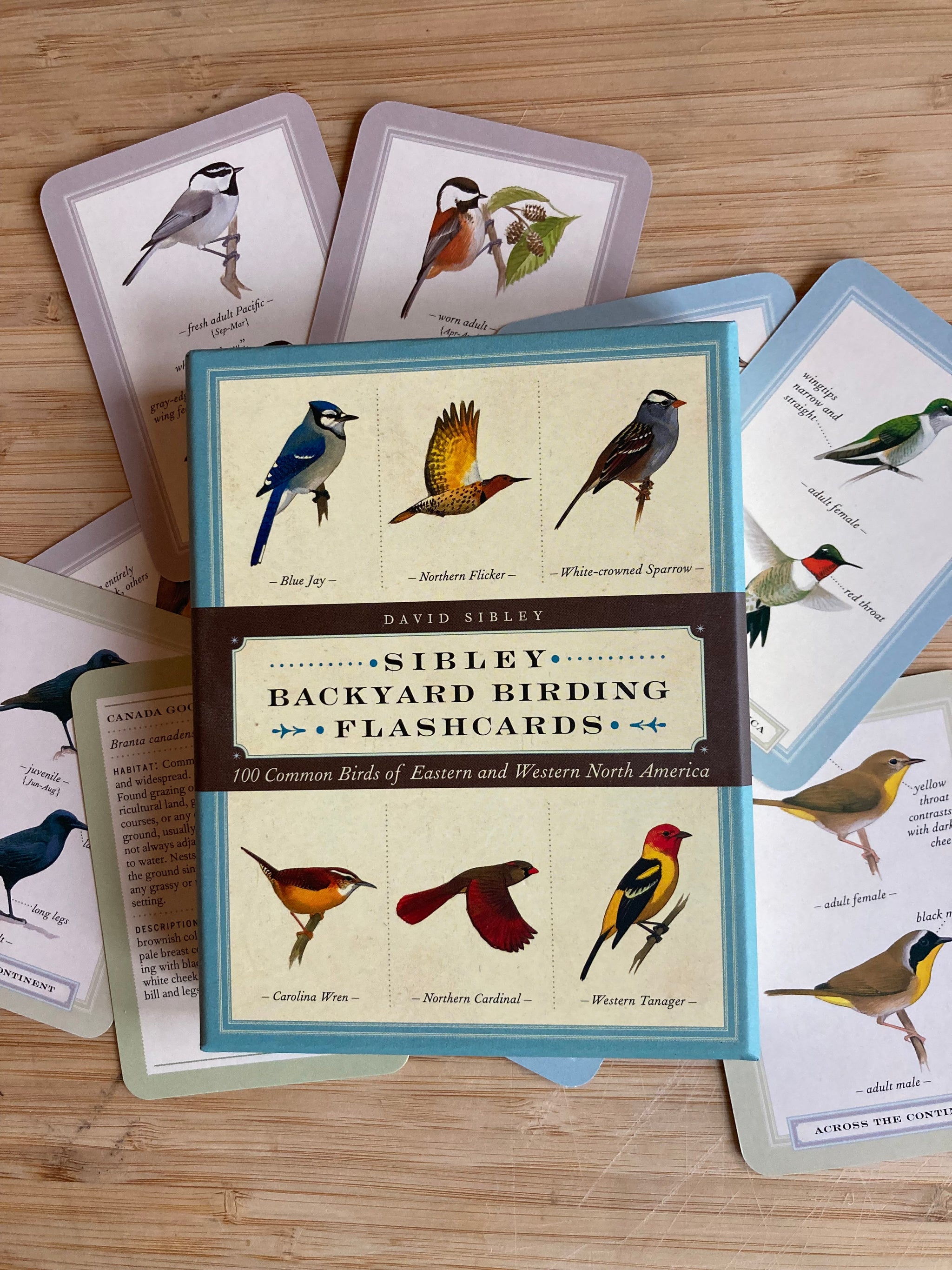 Educational Activity Set - BACKYARD BIRDING FLASHCARDS – Gnomes & Acorns