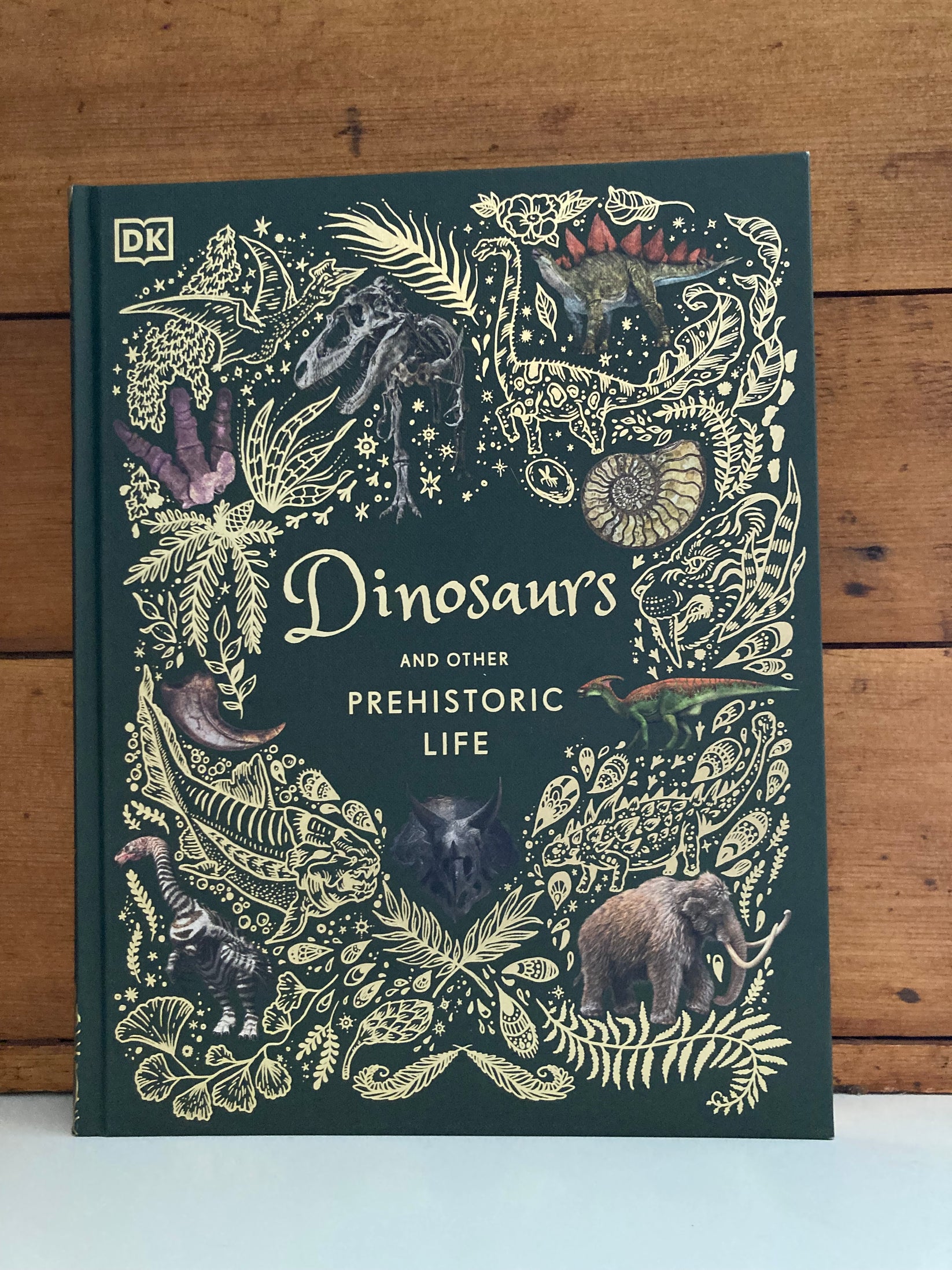Educational Resource Picture Book - DINOSAURS AND PRE-HISTORIC LIFE ...